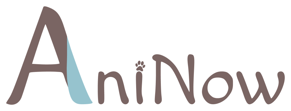 aninow-vet